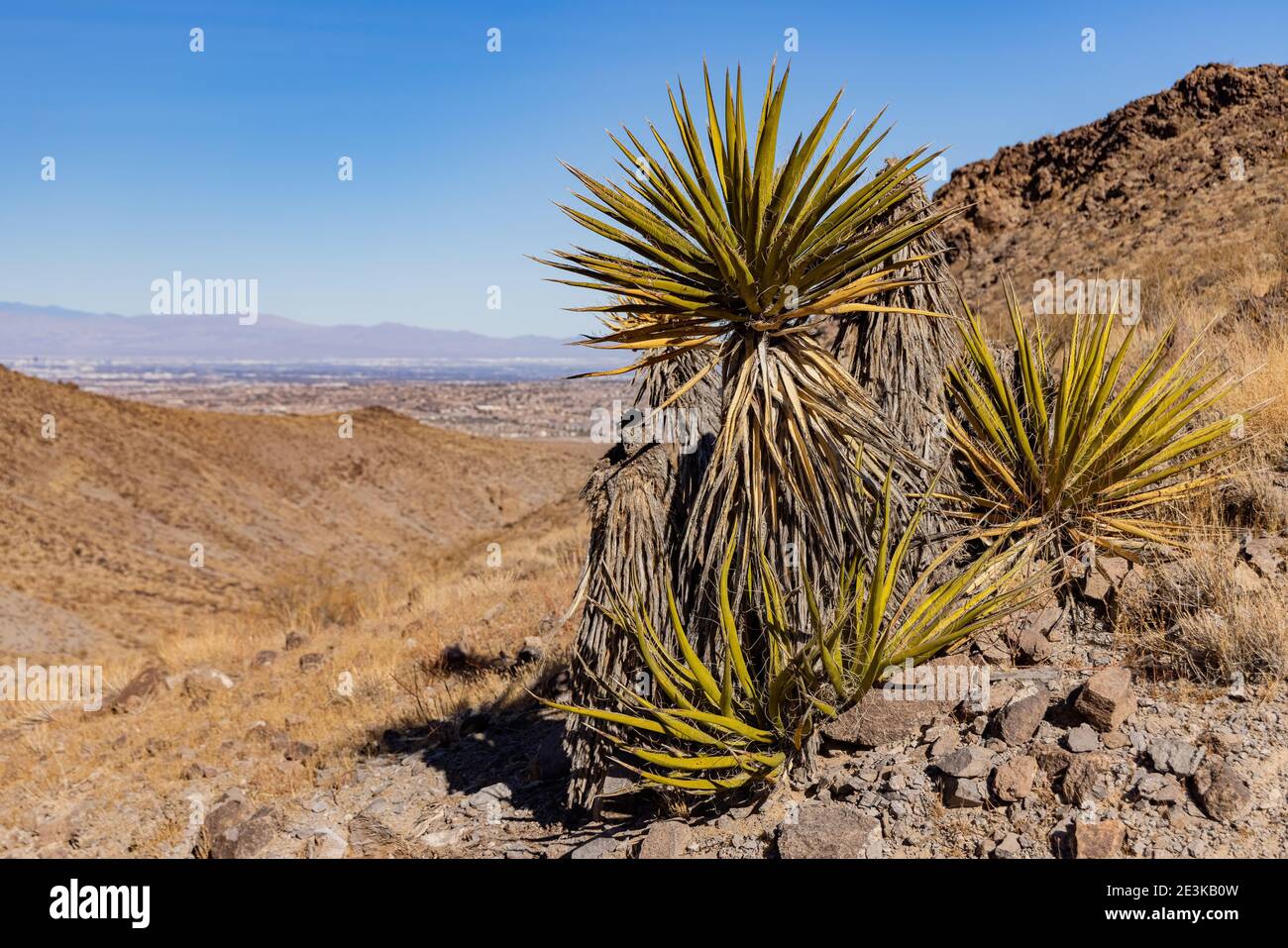 Sunny view of the beautiful landscape around Petroglyph Canyon Trail ...