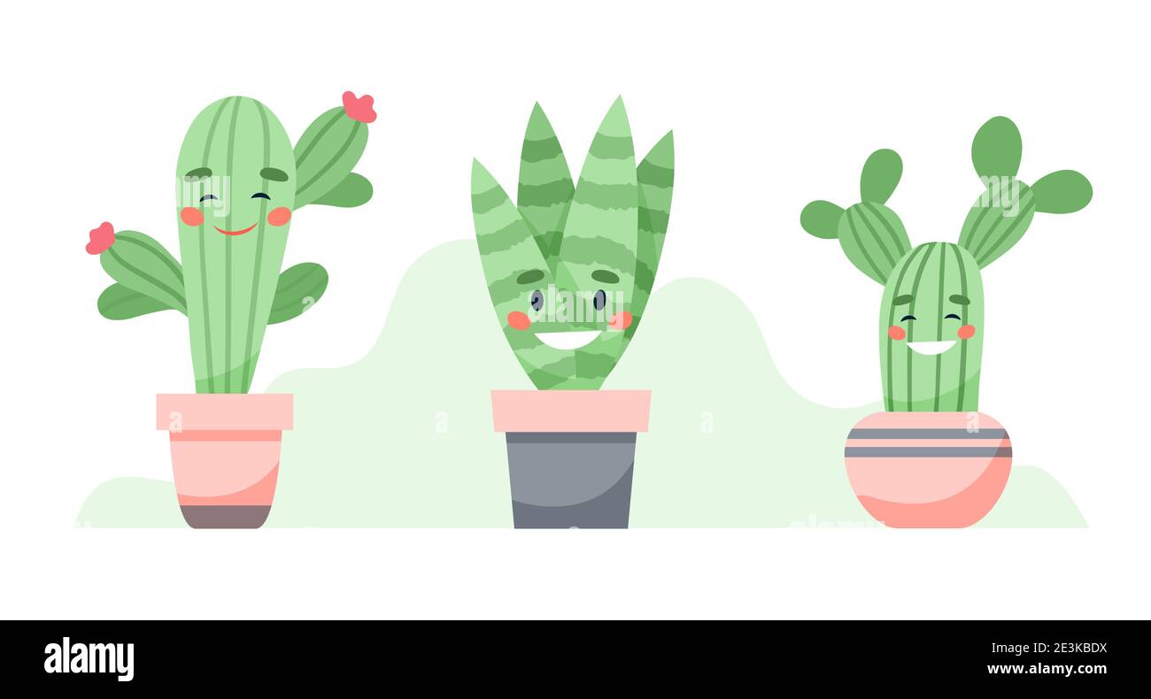 Set of cute cactus and succulents characters, vector illustration in ...