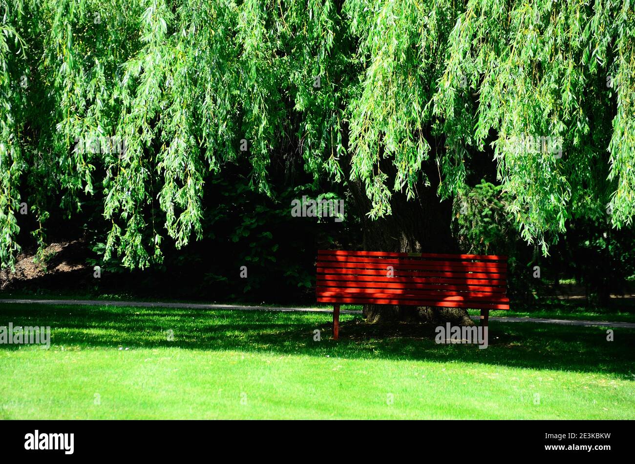 Bright green facial skin hi-res stock photography and images - Alamy