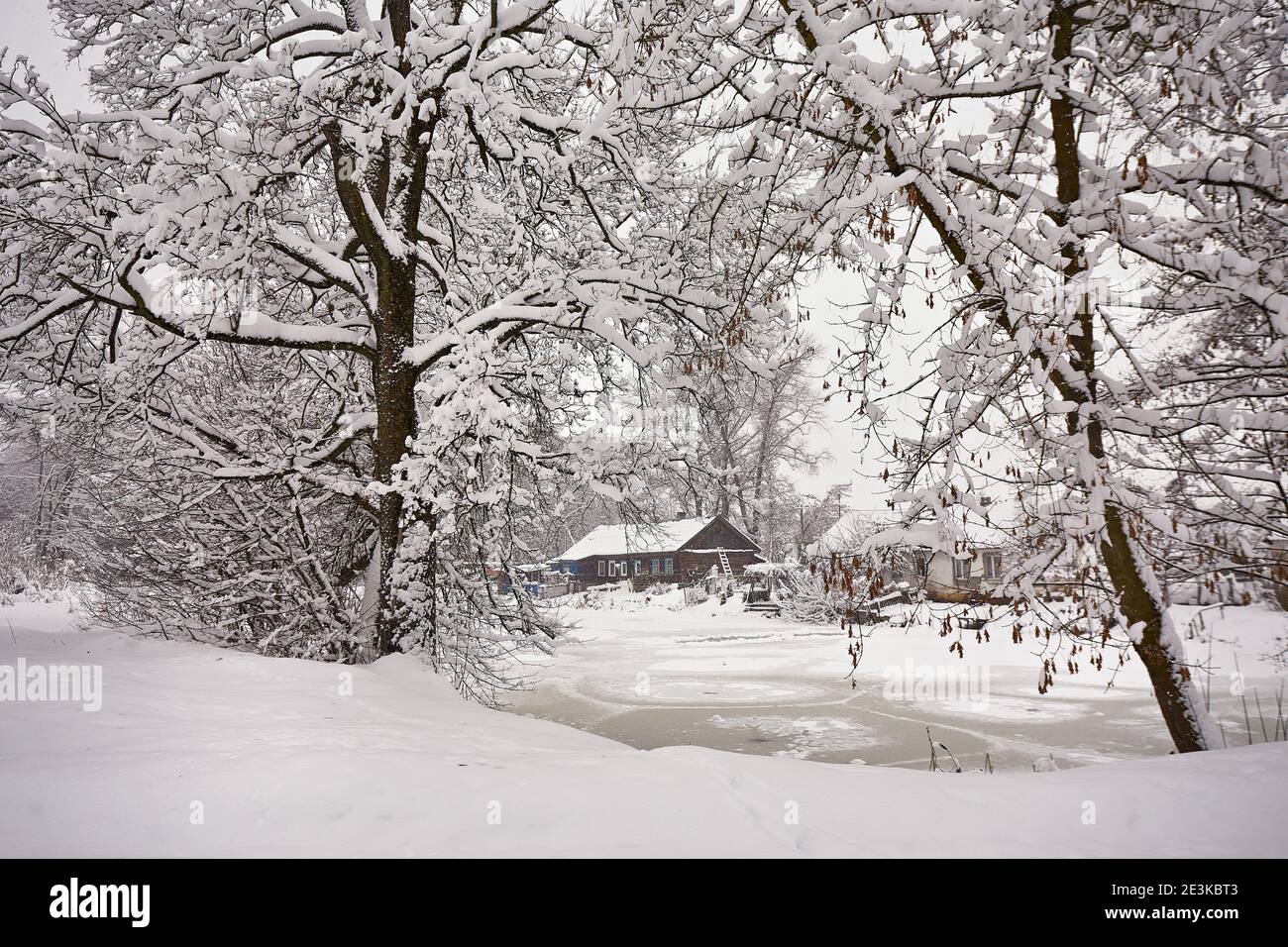 Winter rural scene. House near frozen lake. Hut on January lakeside ...