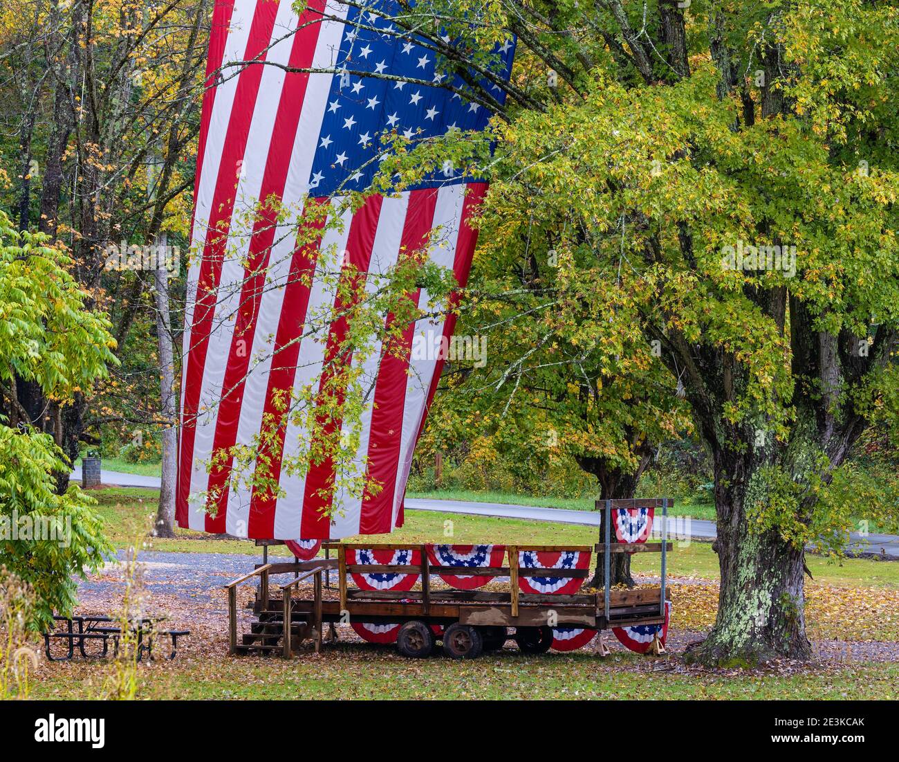 American flag tree hi-res stock photography and images - Alamy