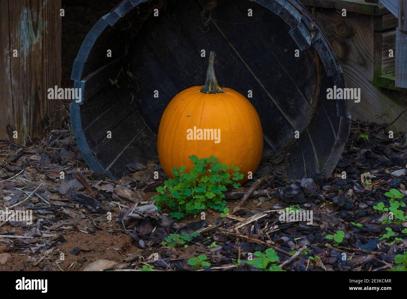 Outside outdoors fall season autumn hi-res stock photography and images ...