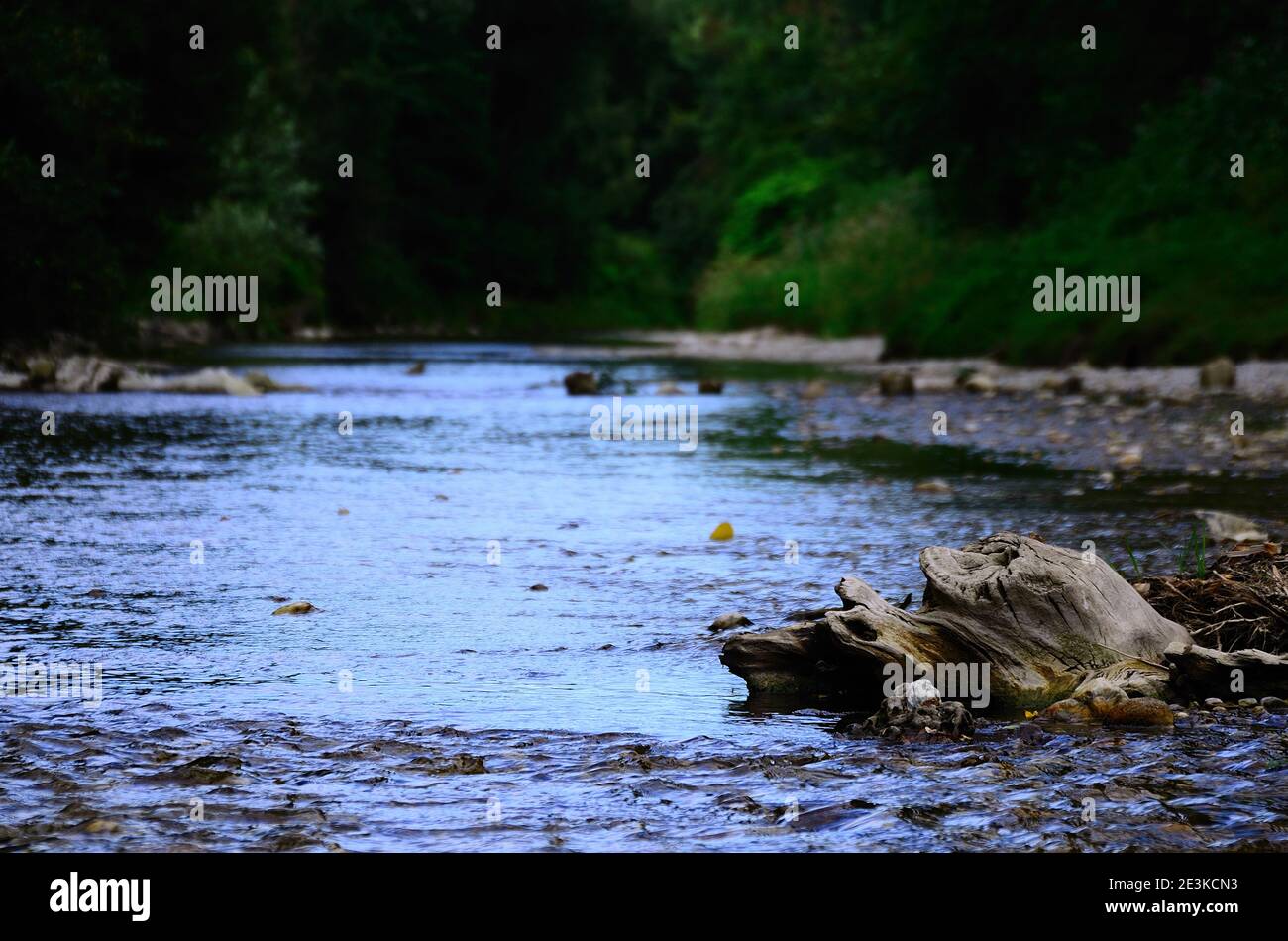 Tree flow park bed hi-res stock photography and images - Alamy