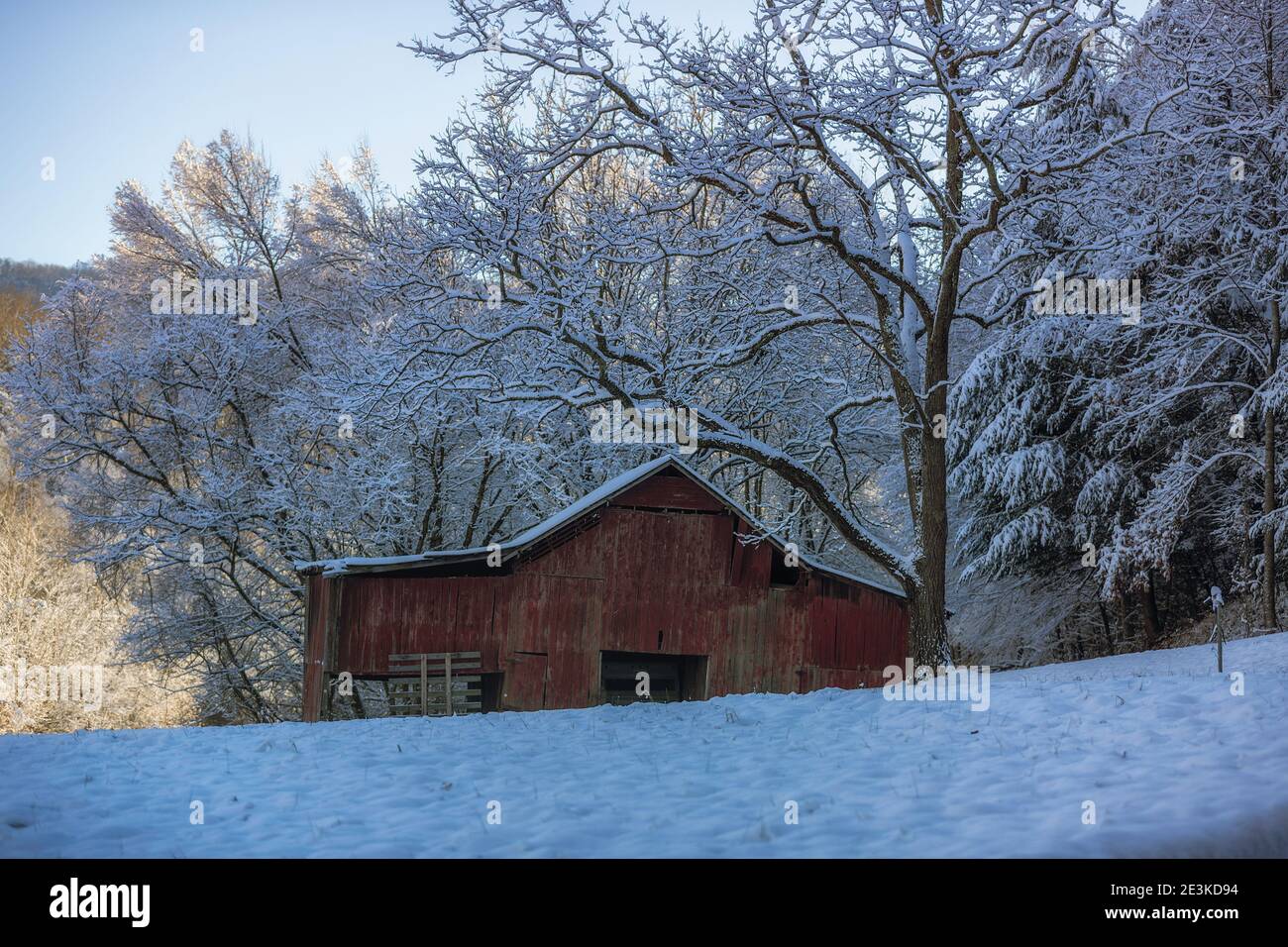 Field backgrounds hi-res stock photography and images - Alamy