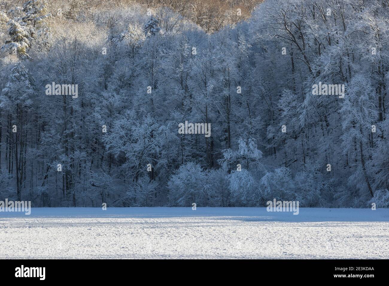 Northeastern tennessee hi-res stock photography and images - Alamy