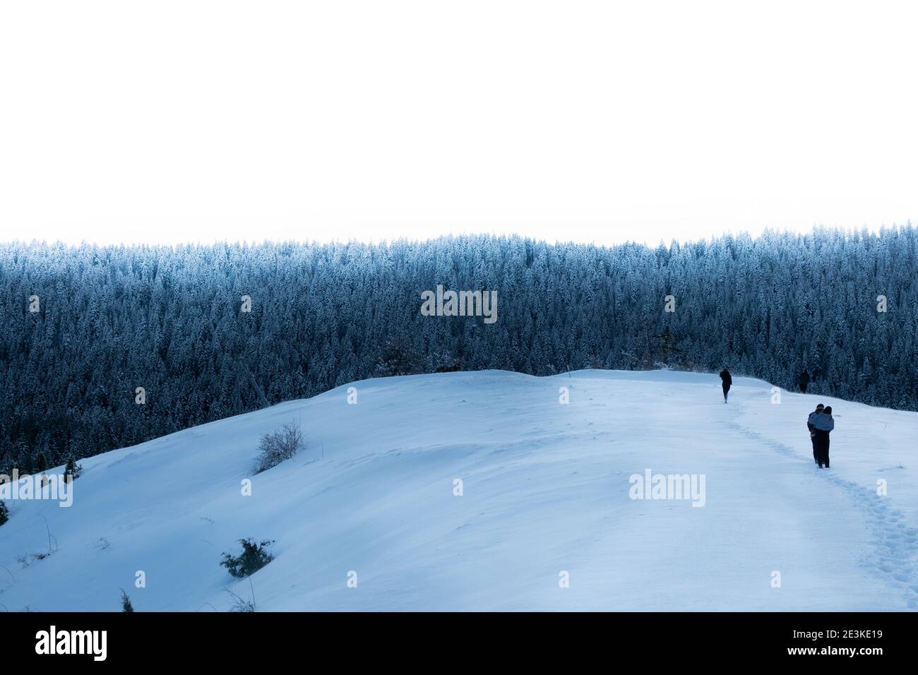 People walking trough the snow Stock Photo - Alamy