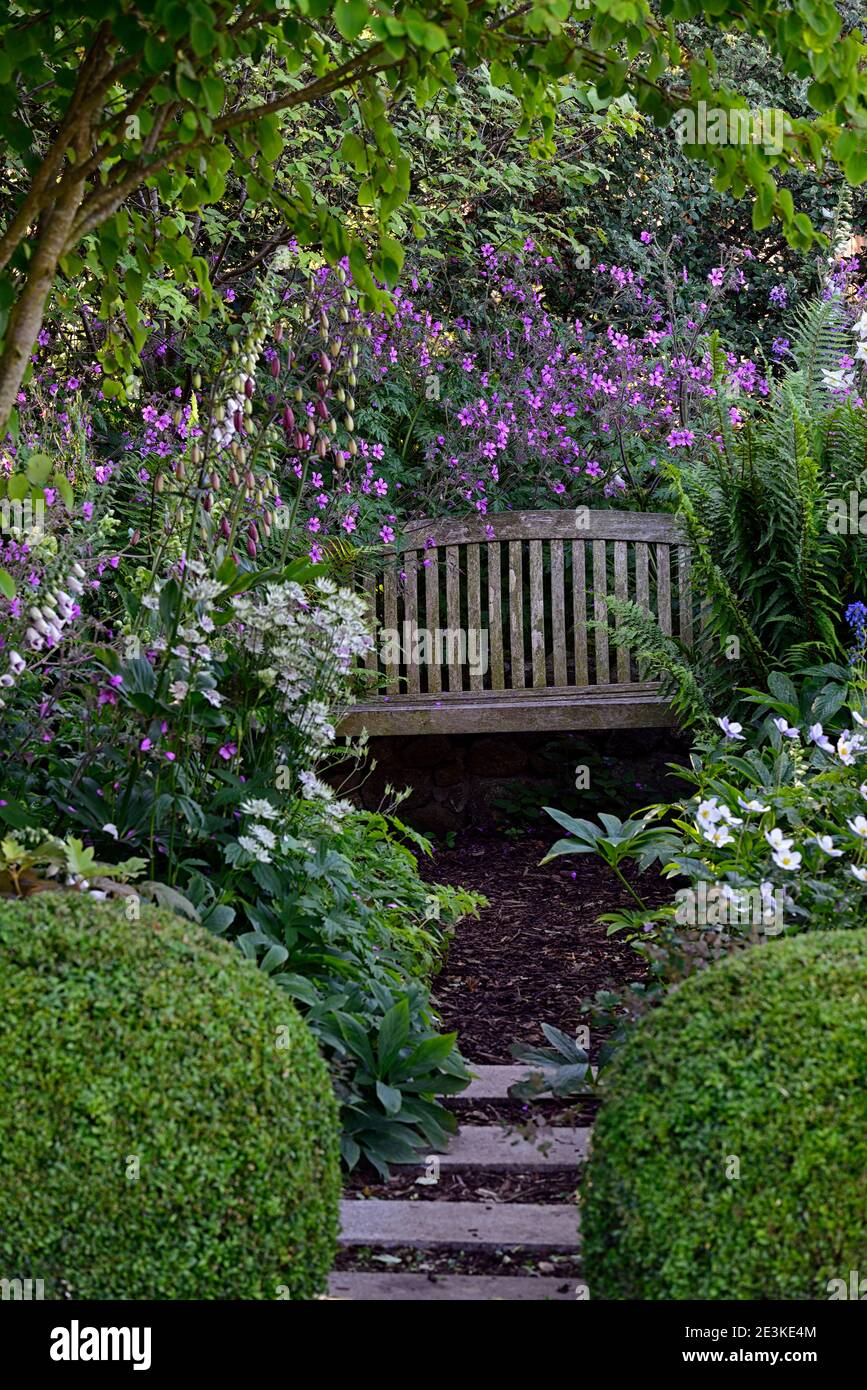 garden seat,seating,astrantia,anemone,Geranium palmatum,protected ...