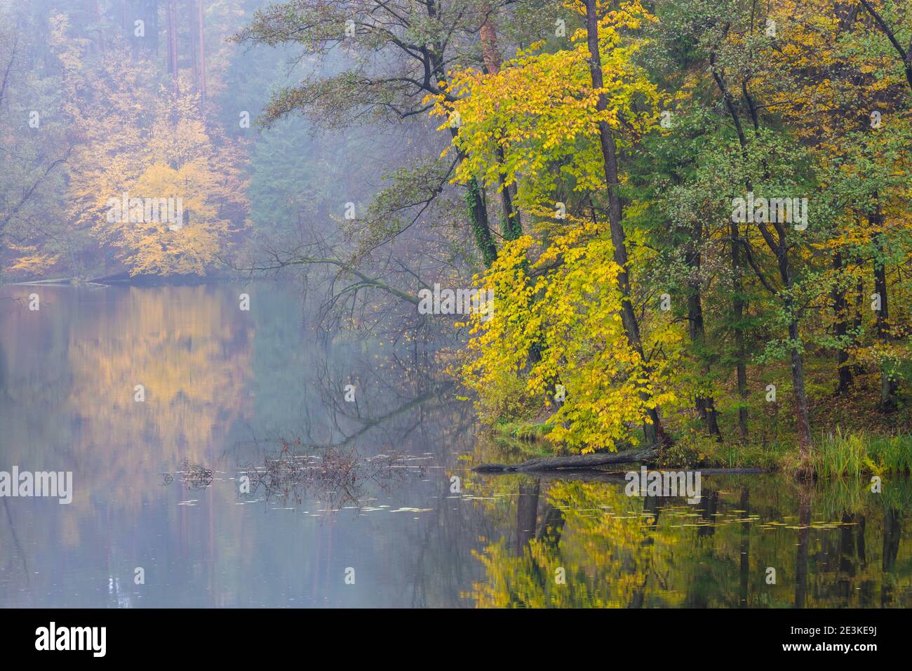 Masuria agriculture hi-res stock photography and images - Alamy
