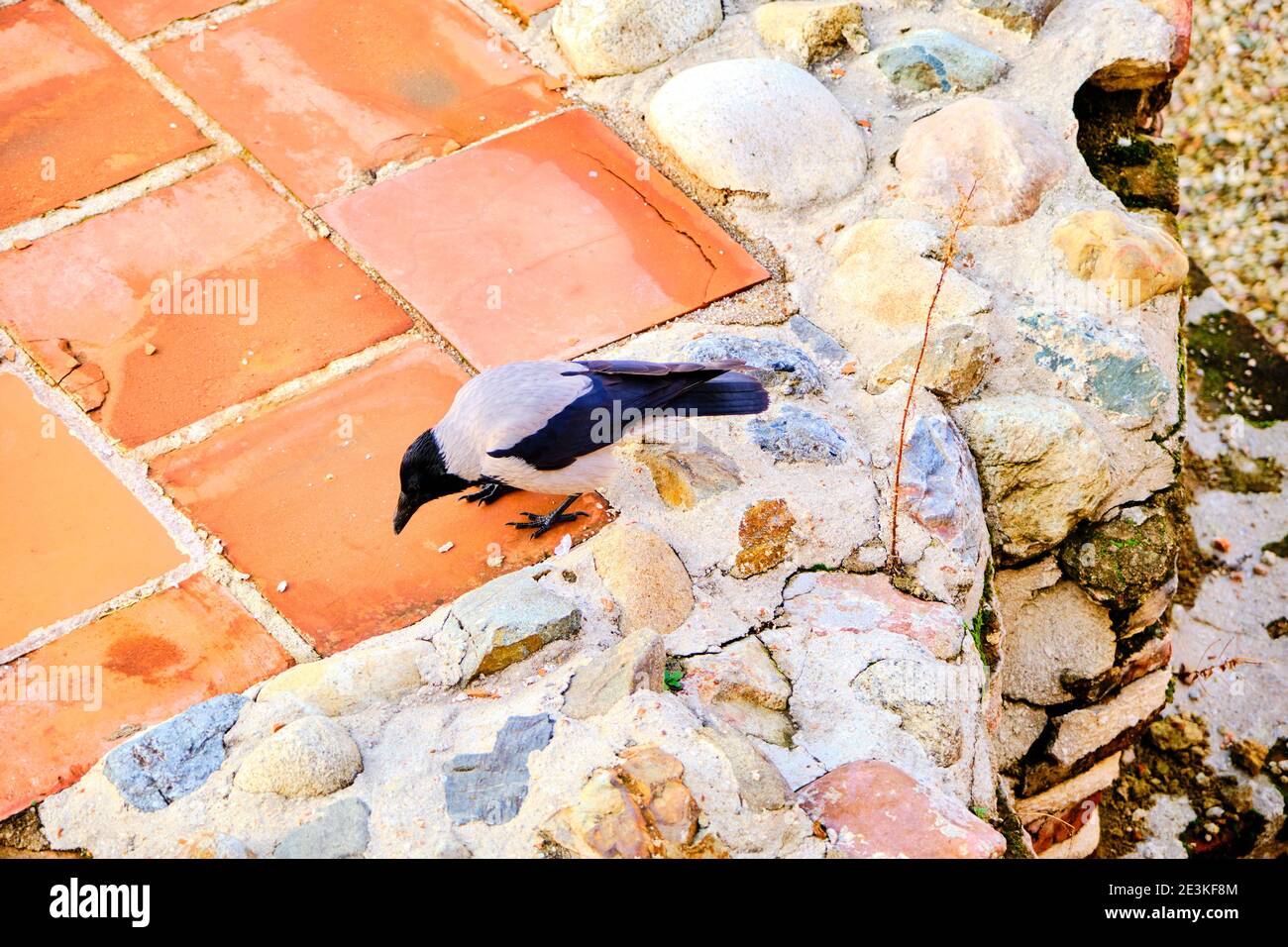 Ancient roman corvus hi-res stock photography and images - Alamy