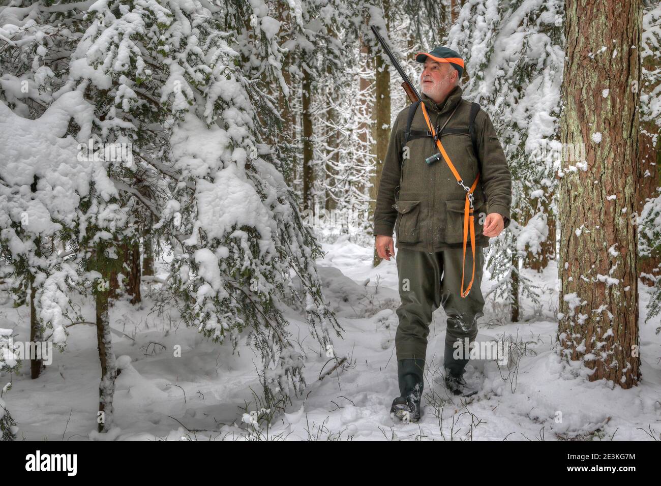 In winter, a hunter is on deerstalking in his hunting area and is happy ...