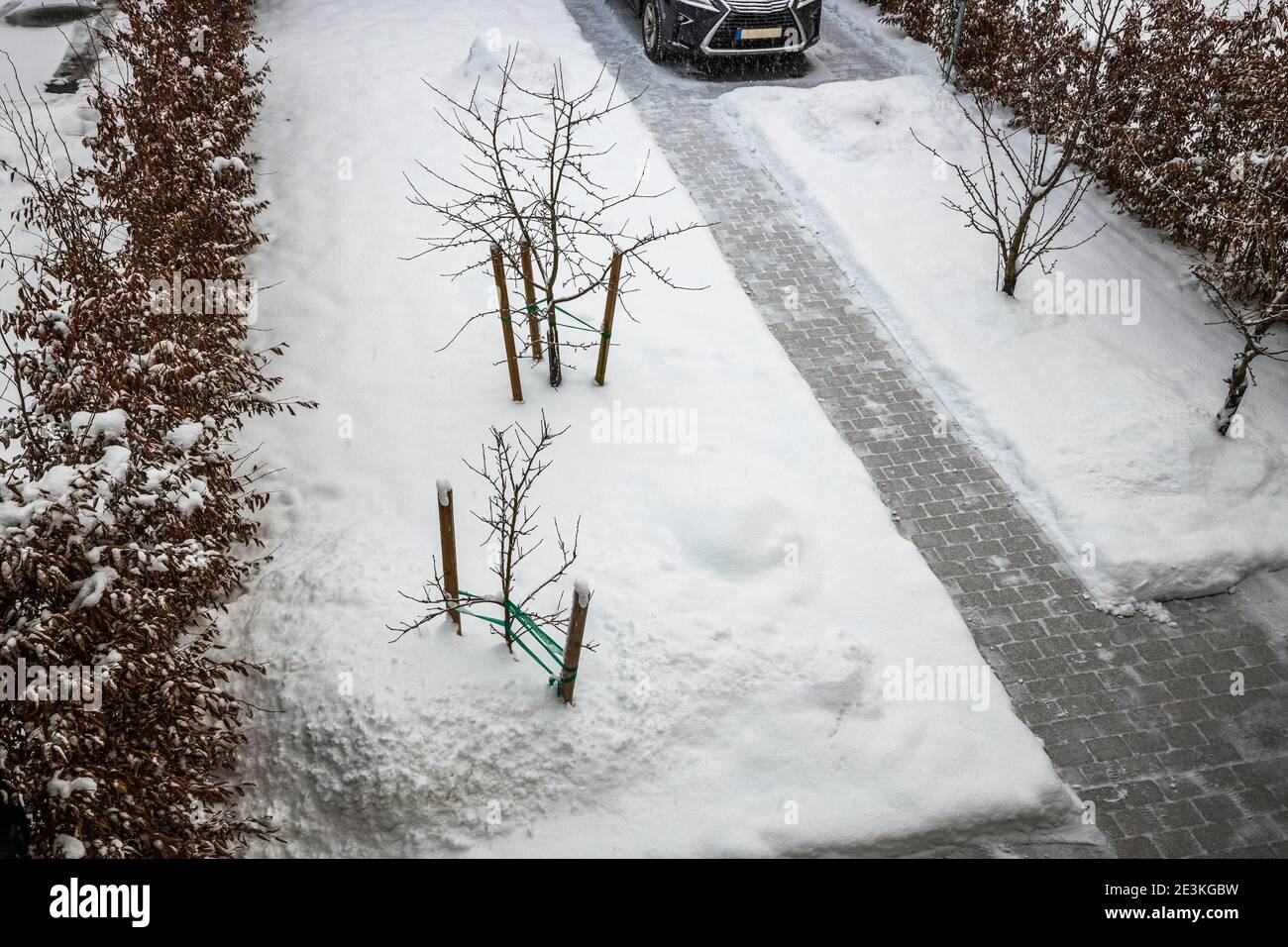 Uppsala snow hi-res stock photography and images - Alamy