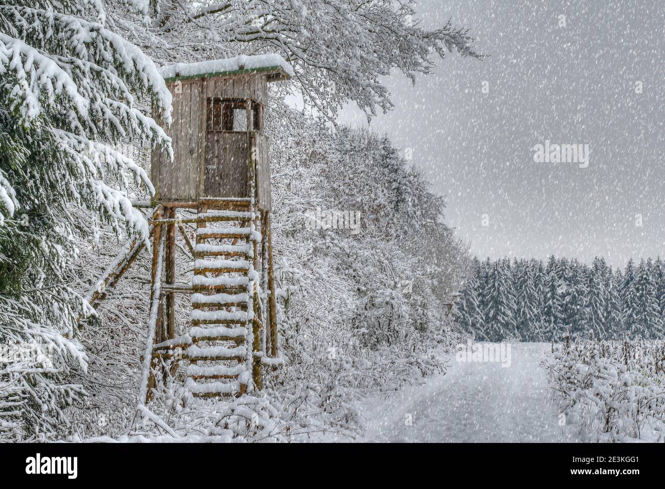 Snow-covered hunting pulpit in the wintry hunting ground Stock Photo ...