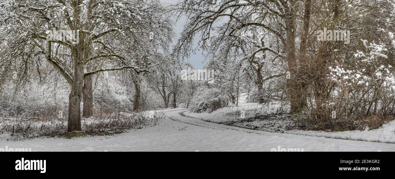 The dreamy winter hiking trail winds its way past snow-covered trees ...