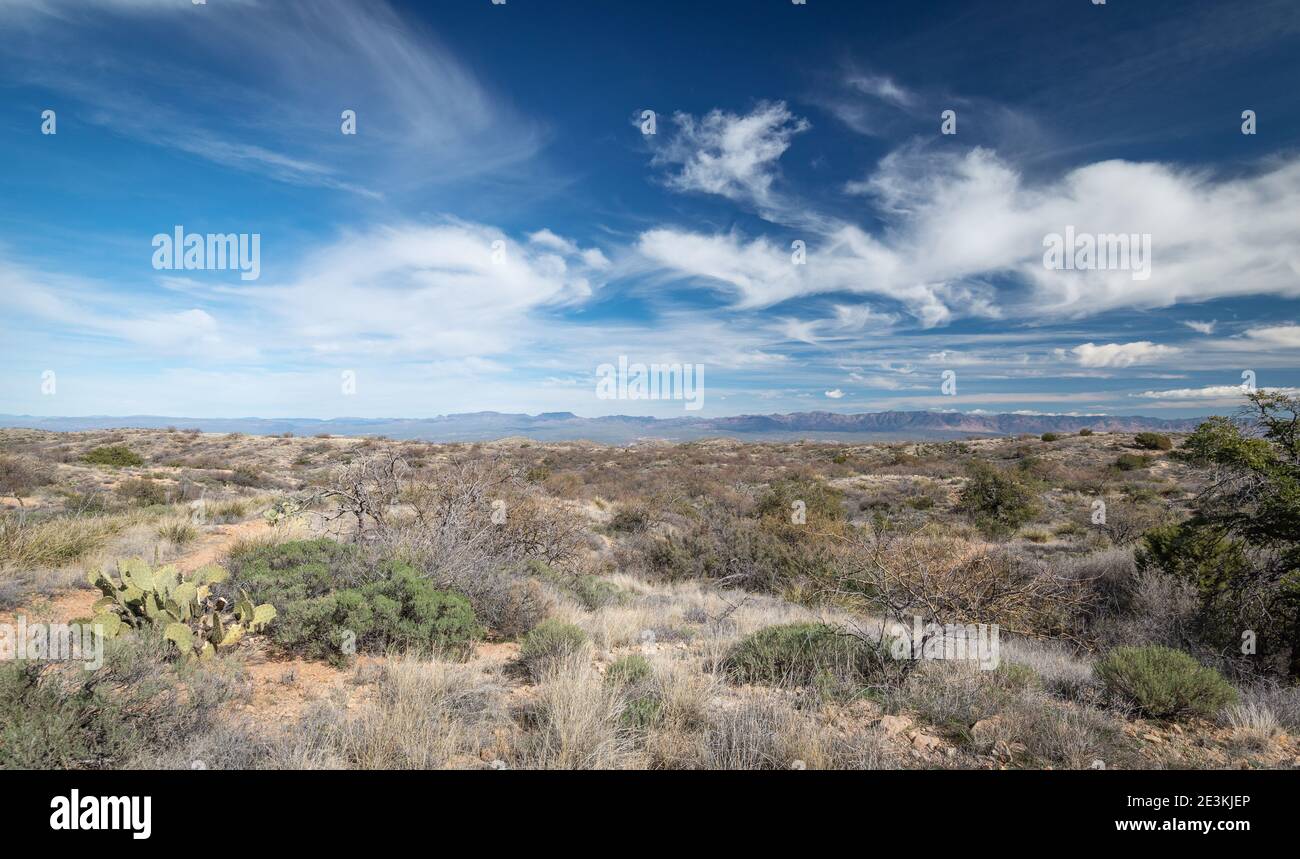 The beautiful Arizonian Desert Stock Photo - Alamy
