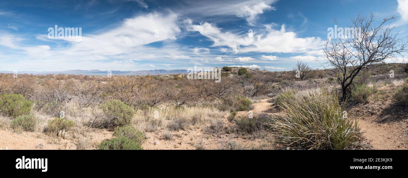 The beautiful Arizonian Desert Stock Photo - Alamy