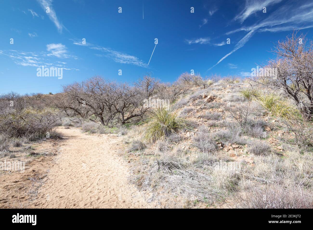 The beautiful Arizonian Desert Stock Photo - Alamy