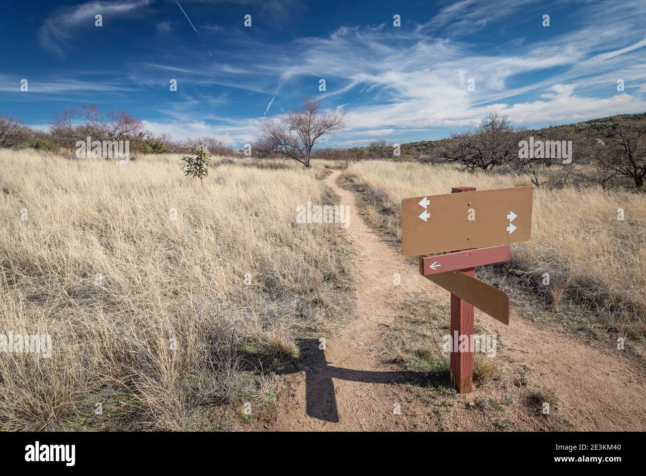 The beautiful Arizonian Desert Stock Photo - Alamy