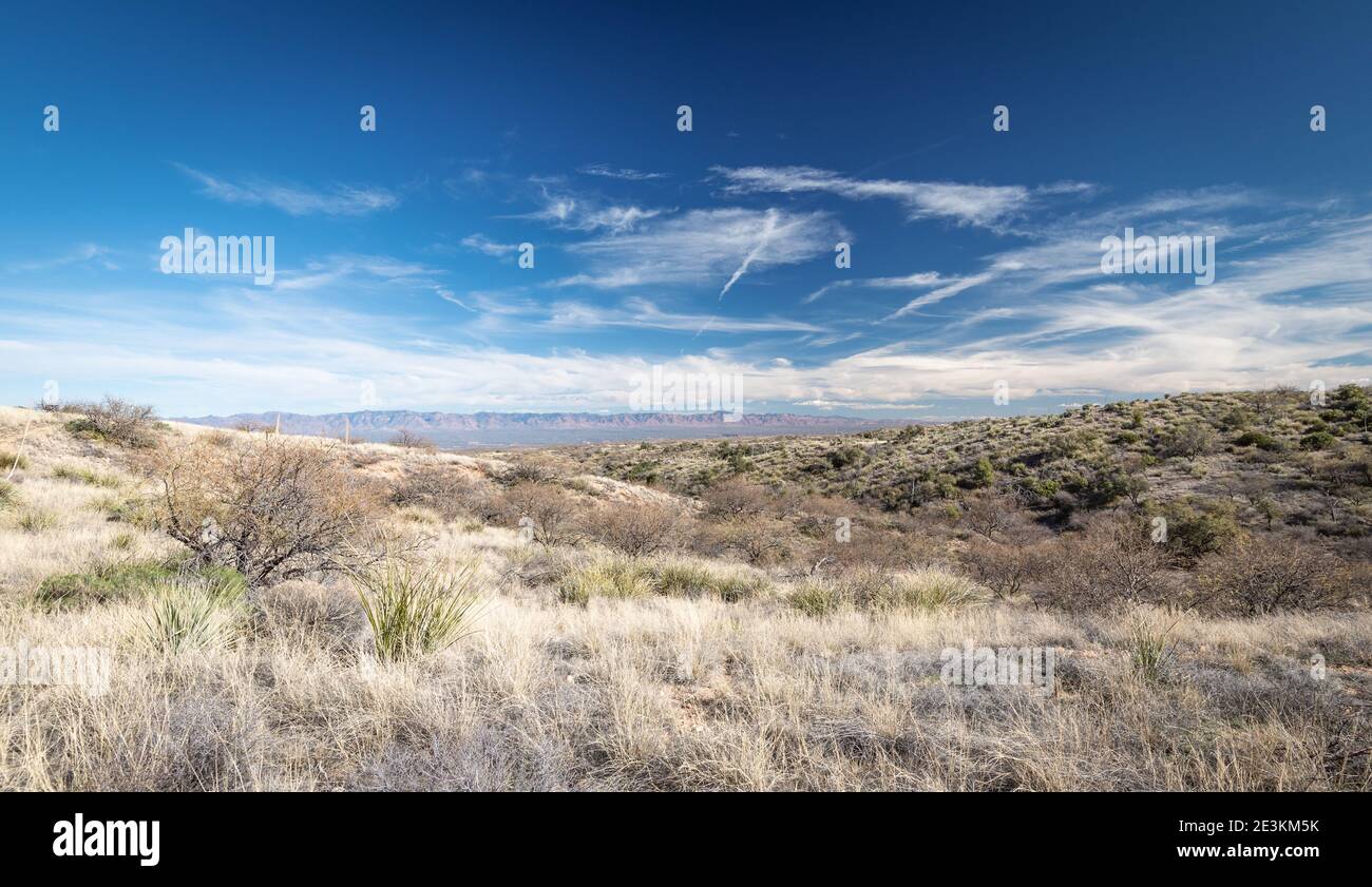 The beautiful Arizonian Desert Stock Photo - Alamy
