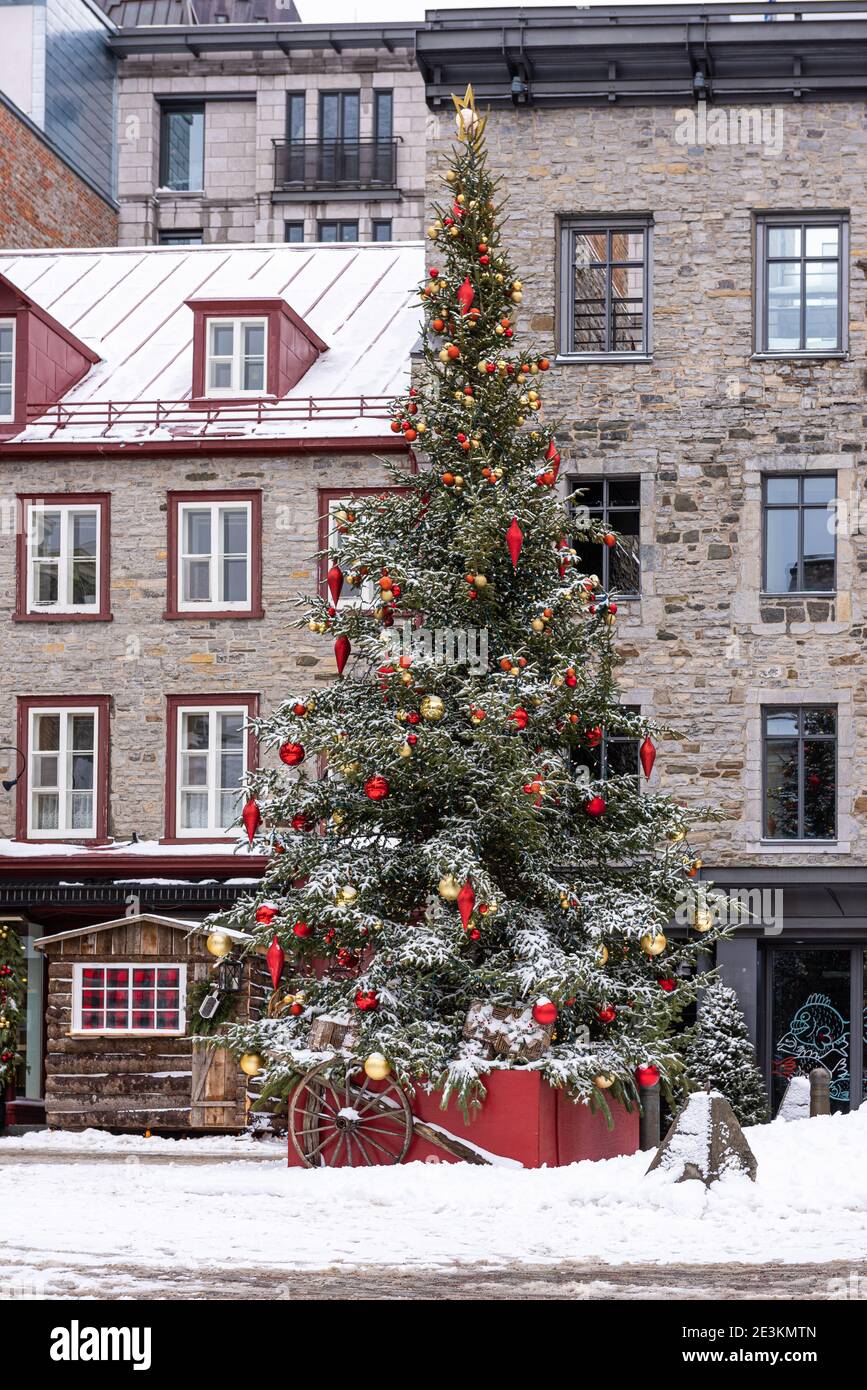 Christmas tree on the Royal place in the Old Quebec city Stock Photo ...