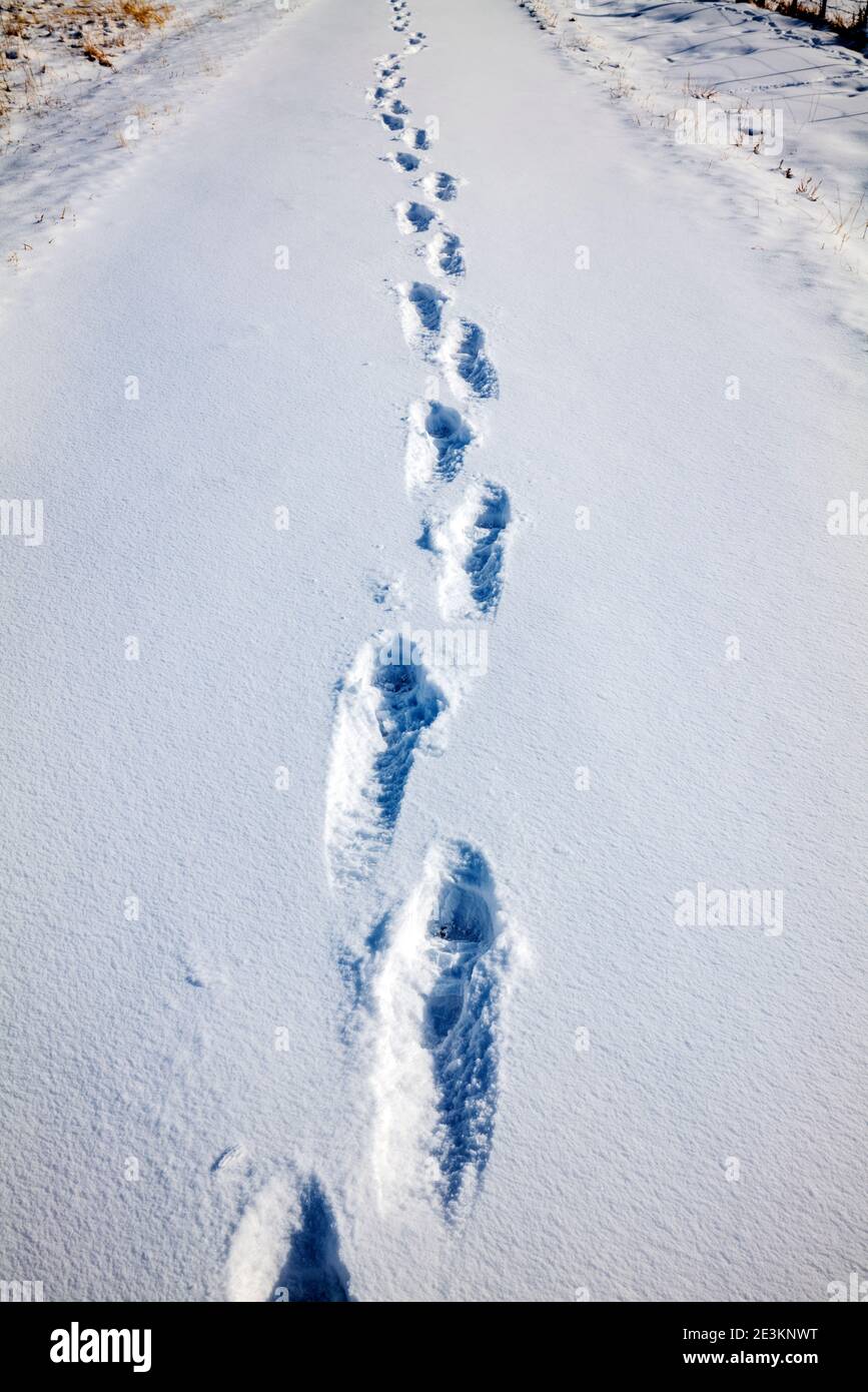 Human prints in snow hi-res stock photography and images - Alamy