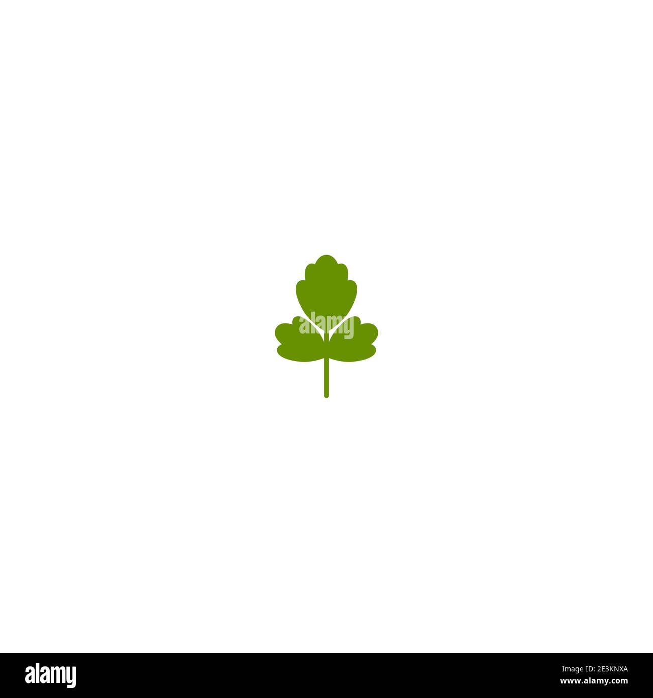 Green parsley twig, shoot, sprig. Icon Isolated on white. Logo for eco ...
