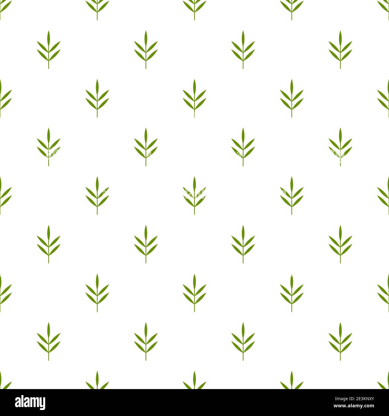 Seamless ornament with green rosemary twig, shoot, sprig on white ...