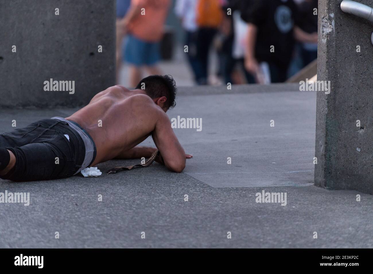 Robbery spider hi-res stock photography and images - Alamy