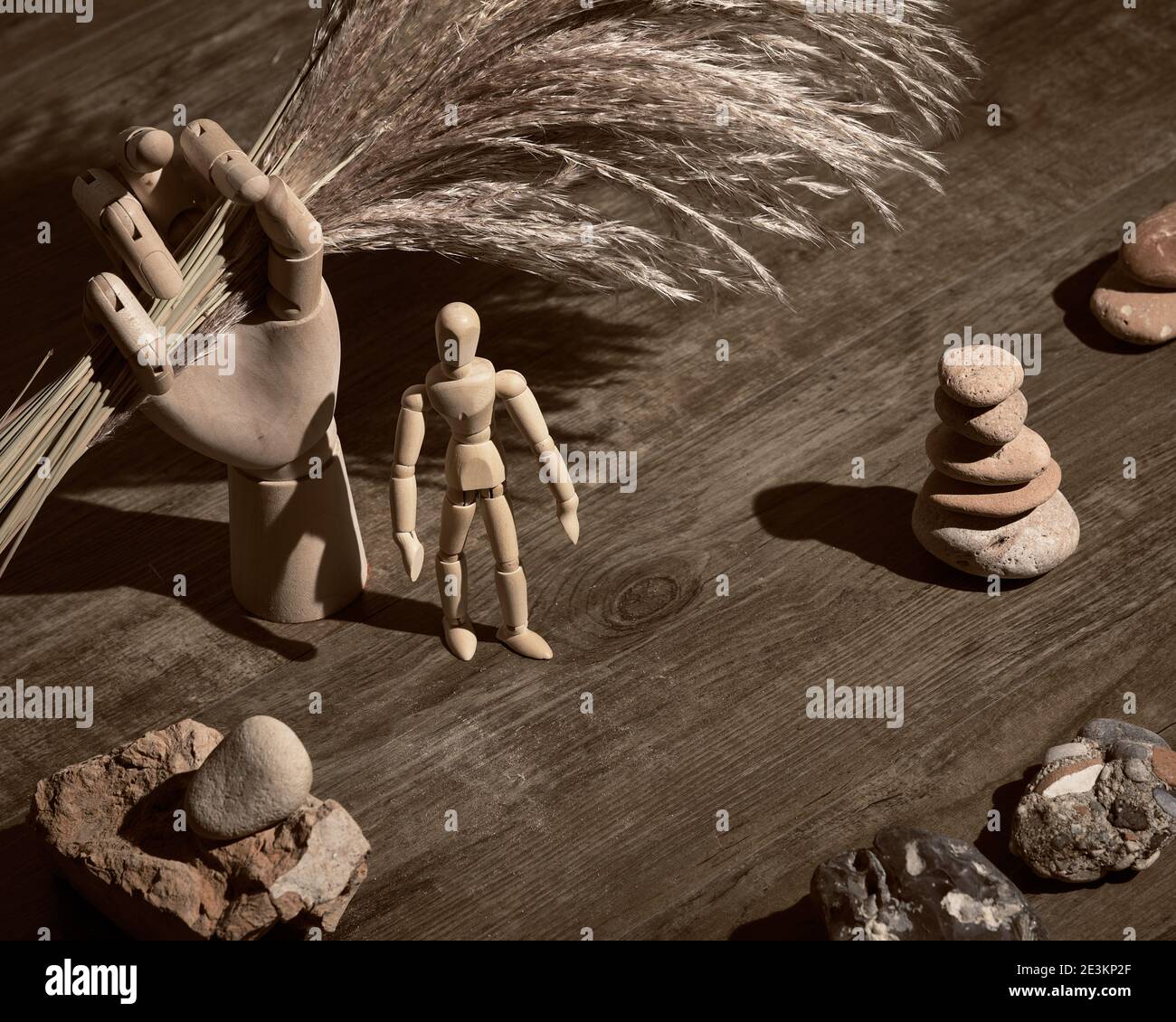 Wooden model hand holding dry withered pampas grass. Human figure with ...