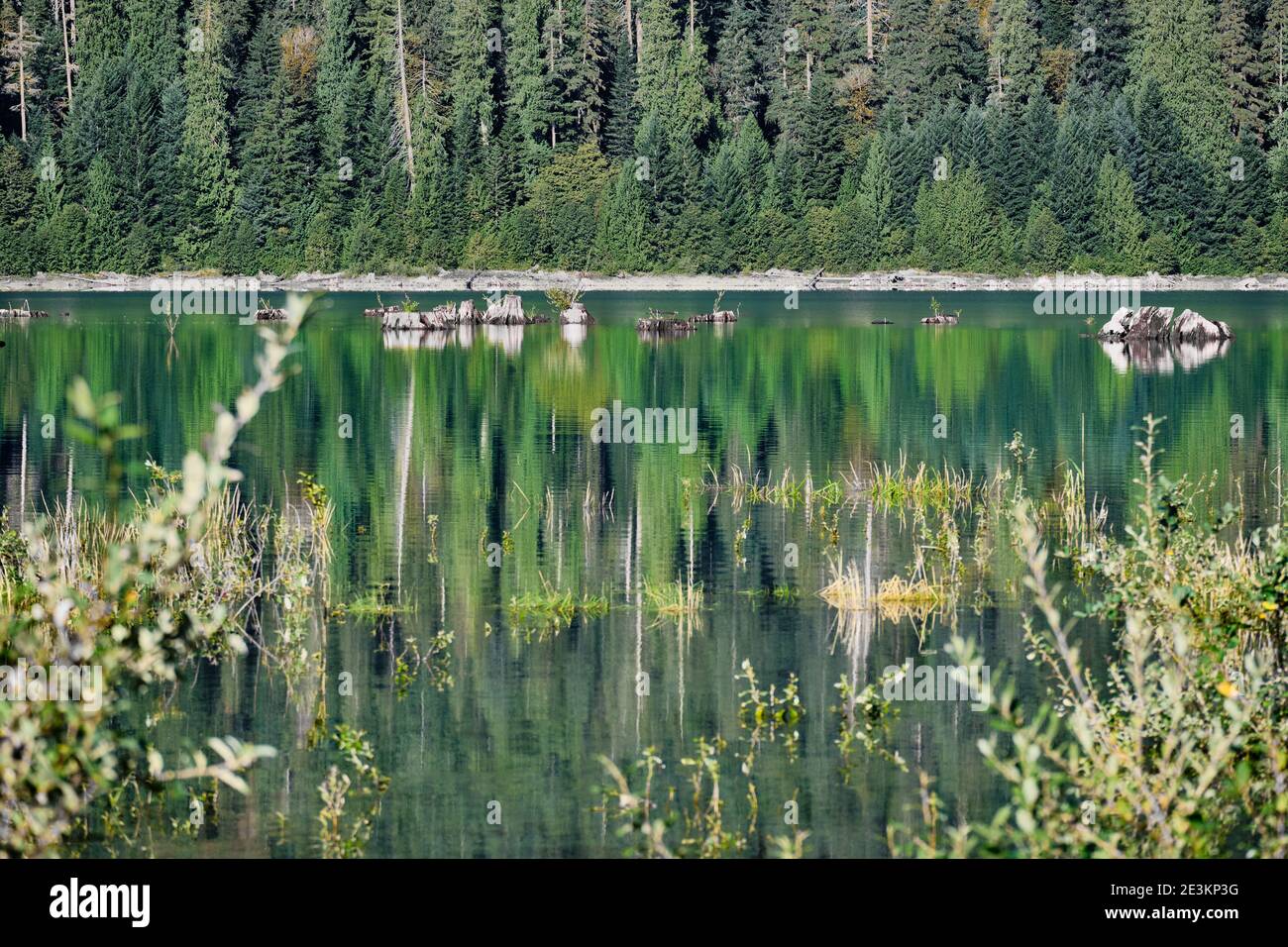 Shallow ripples in Buttle Lake create beautiful reflections of forest ...