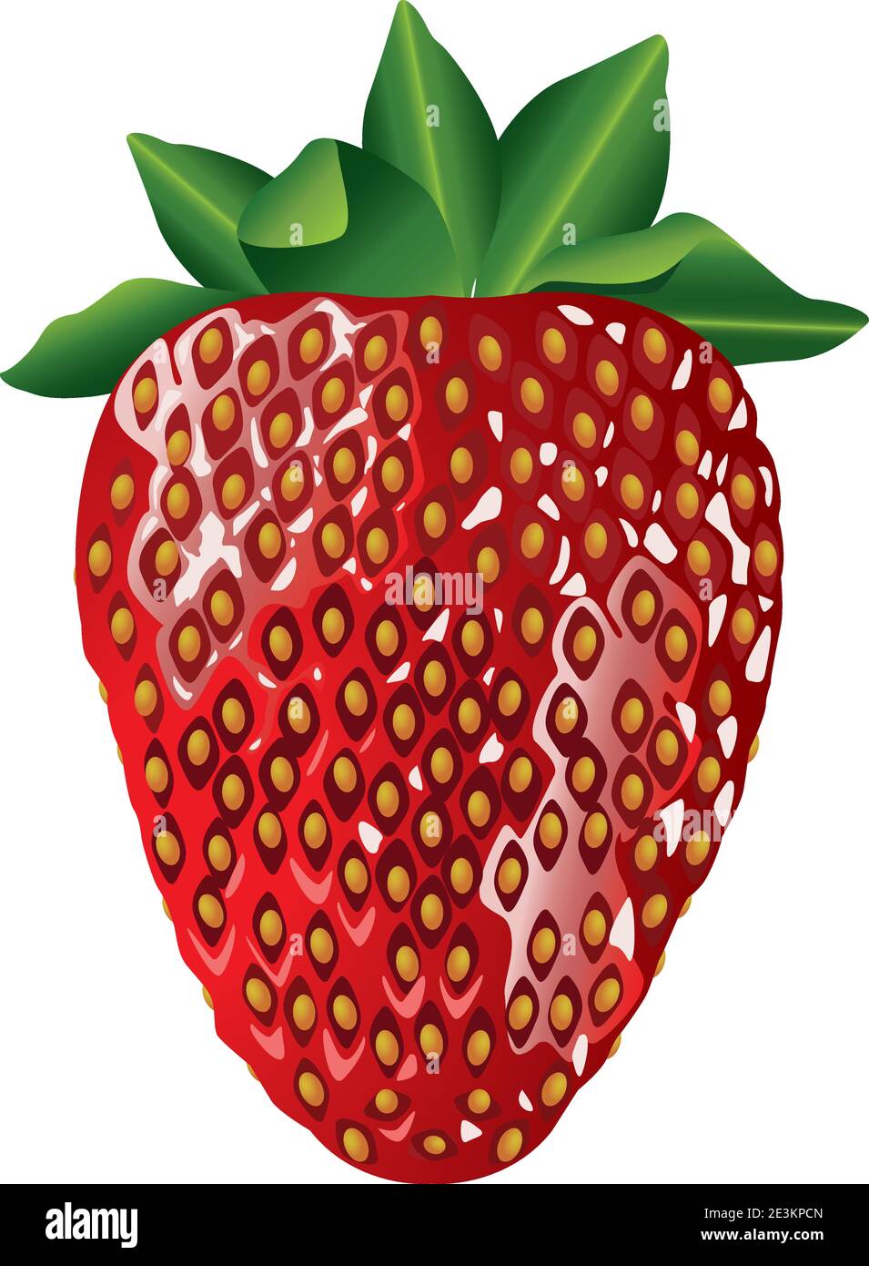 fresh and delicious strawberry fruit vector illustration design Stock ...