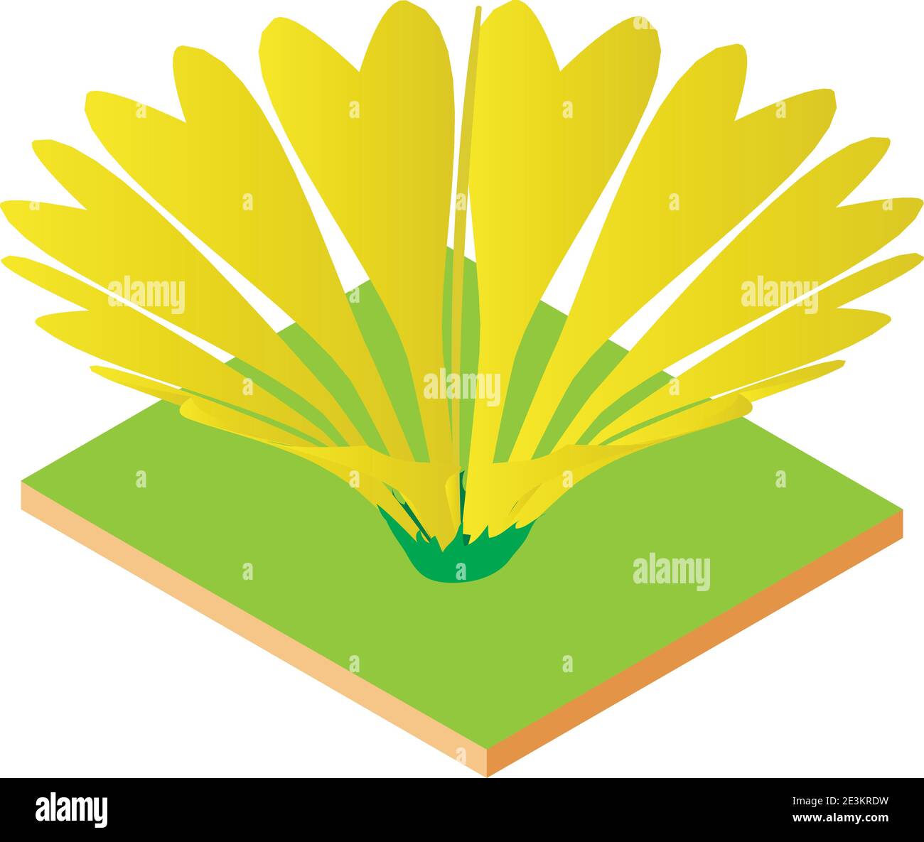 Yellow flower icon. Isometric illustration of yellow flower vector icon ...