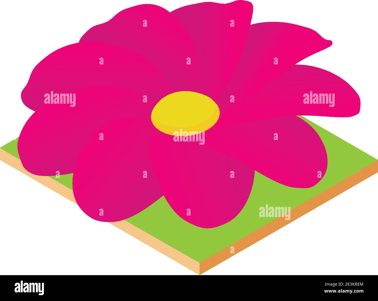 Pink flower icon. Isometric illustration of pink flower vector icon for ...