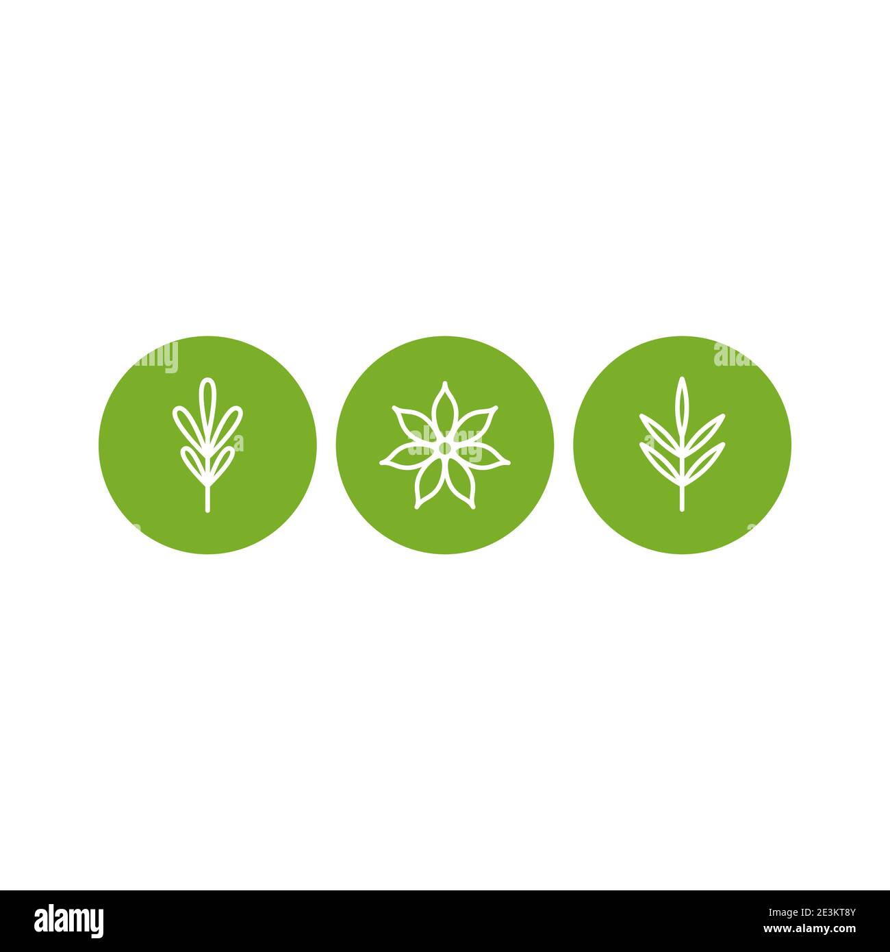 Anis green Stock Vector Images - Alamy