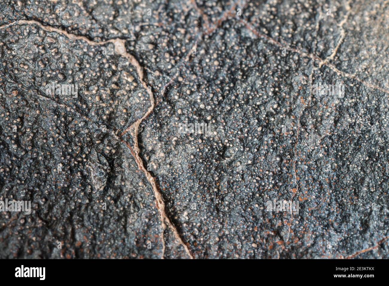 Macro photo of the fusion crust from a Chondrite Meteorite, piece of ...