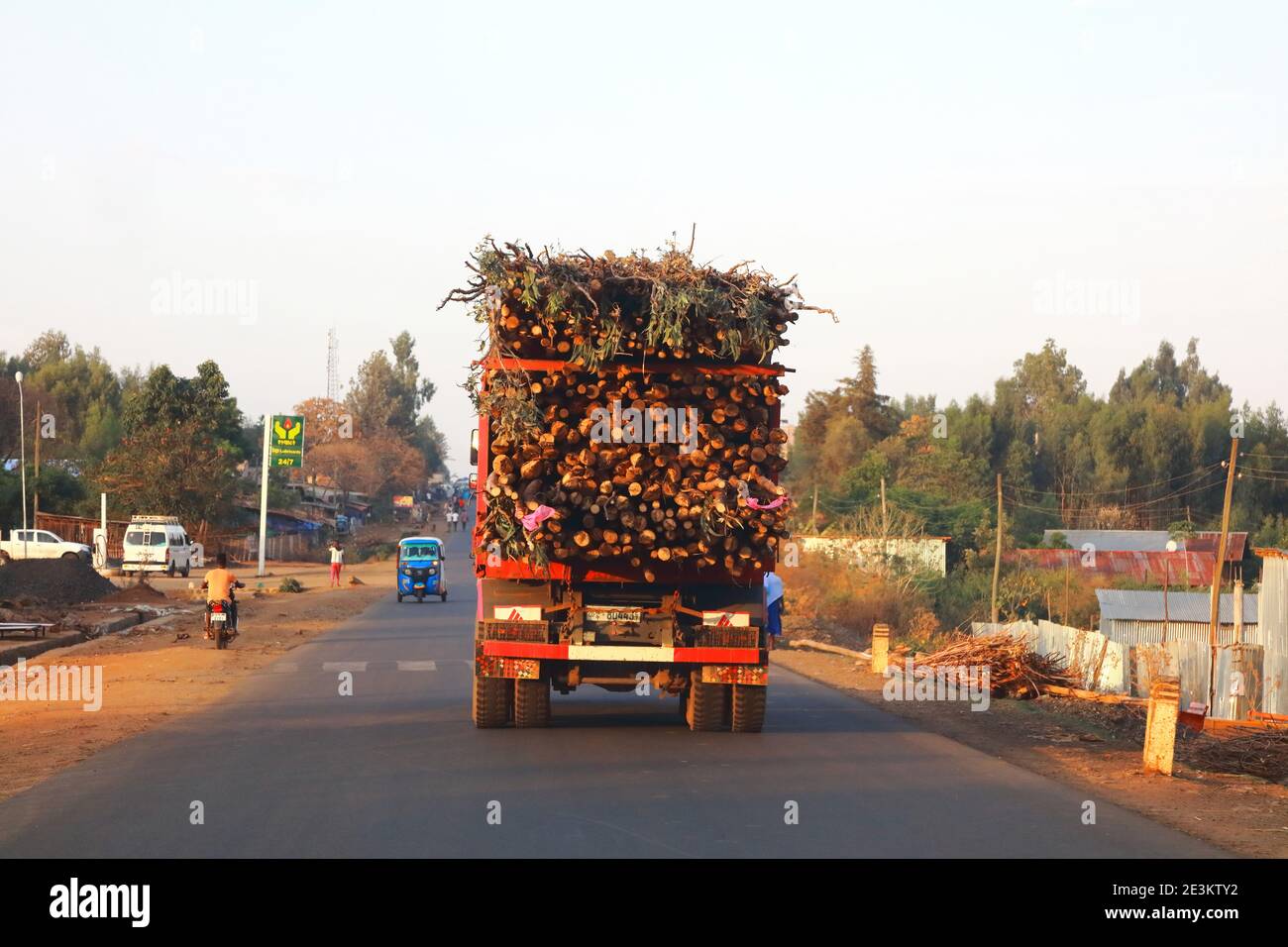 Deforestation images hi-res stock photography and images - Alamy