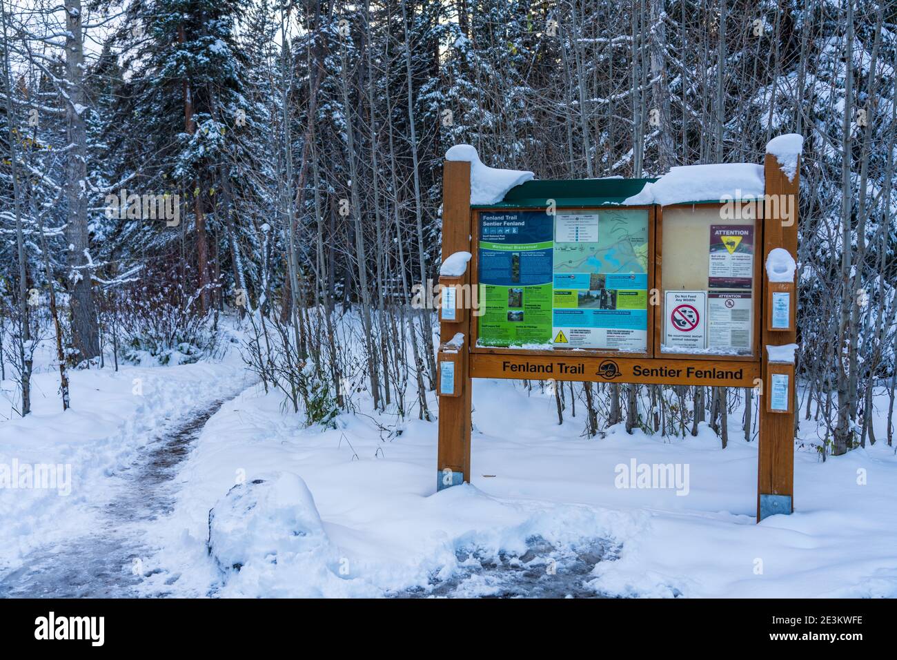Fenland Trail in winter, Banff National Park, Canadian Rockies Stock ...