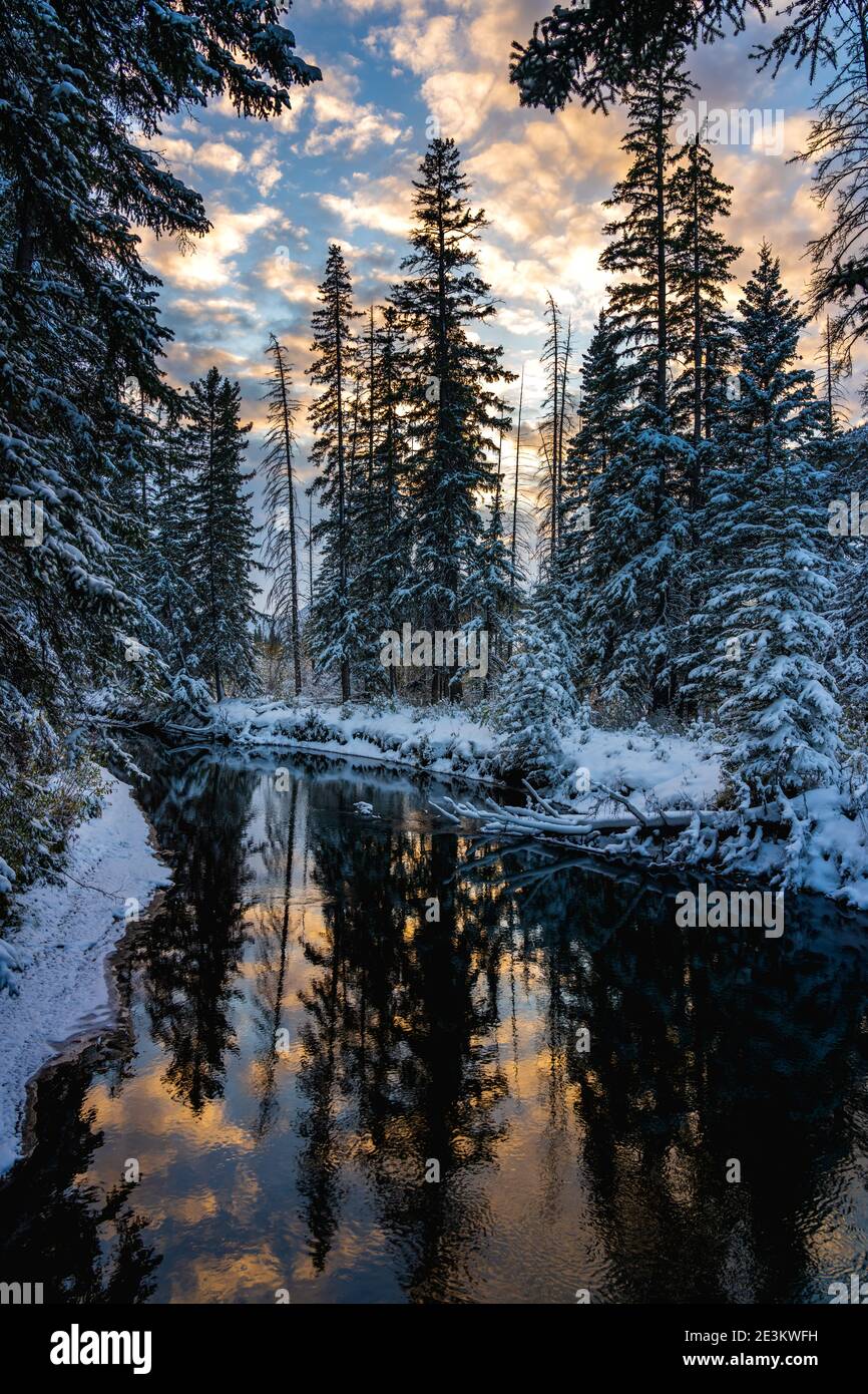 Canadian Wilderness Pictures