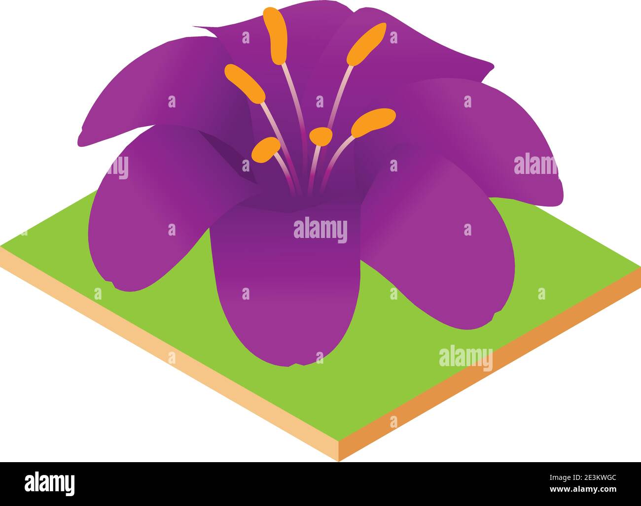 Purple lily icon. Isometric illustration of purple lily vector icon for ...