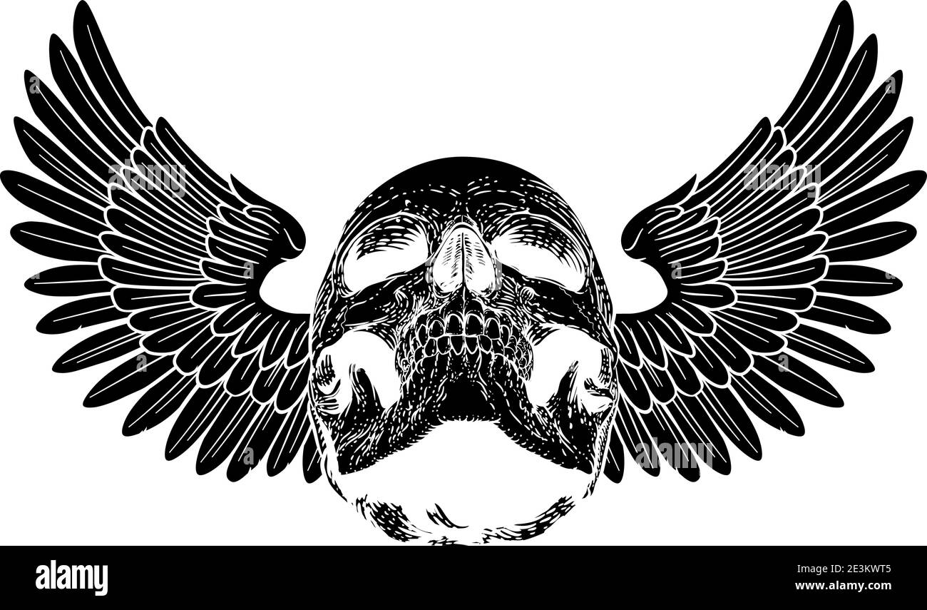 Winged Skull Vintage Woodcut Illustration Stock Vector Image & Art - Alamy