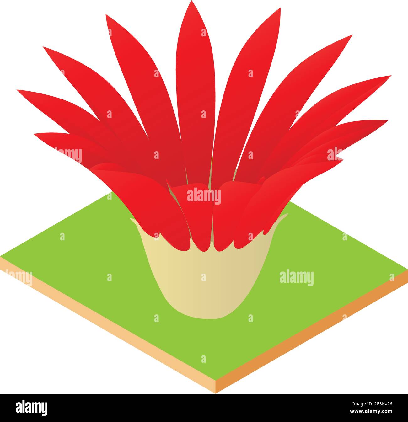 Scarlet hibiscus Stock Vector Images - Alamy