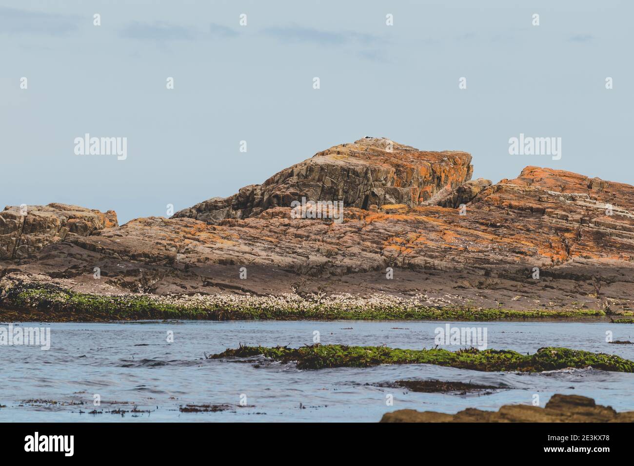 wild Tasmanian landscape with rocky shores and calm Southern Ocean ...