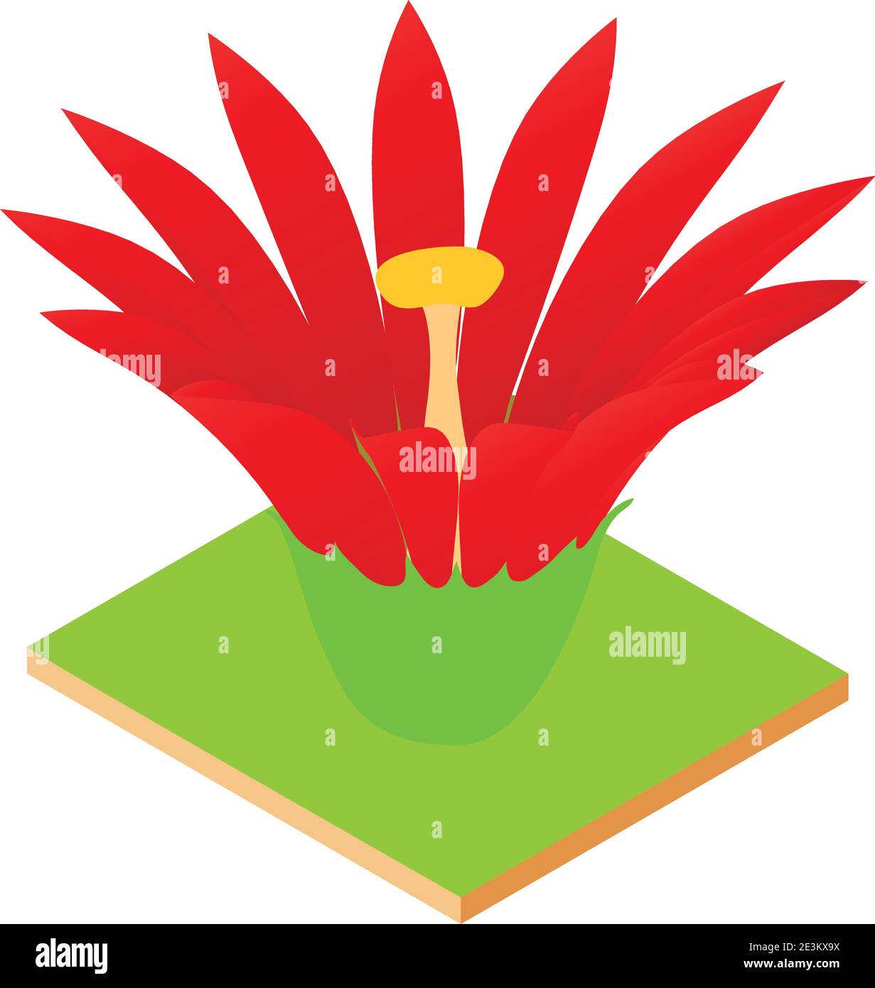 Garden flower icon. Isometric illustration of garden flower vector icon ...