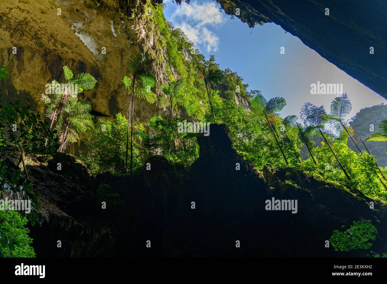 looking outside from standing inside the Deer Cave opening Stock Photo ...