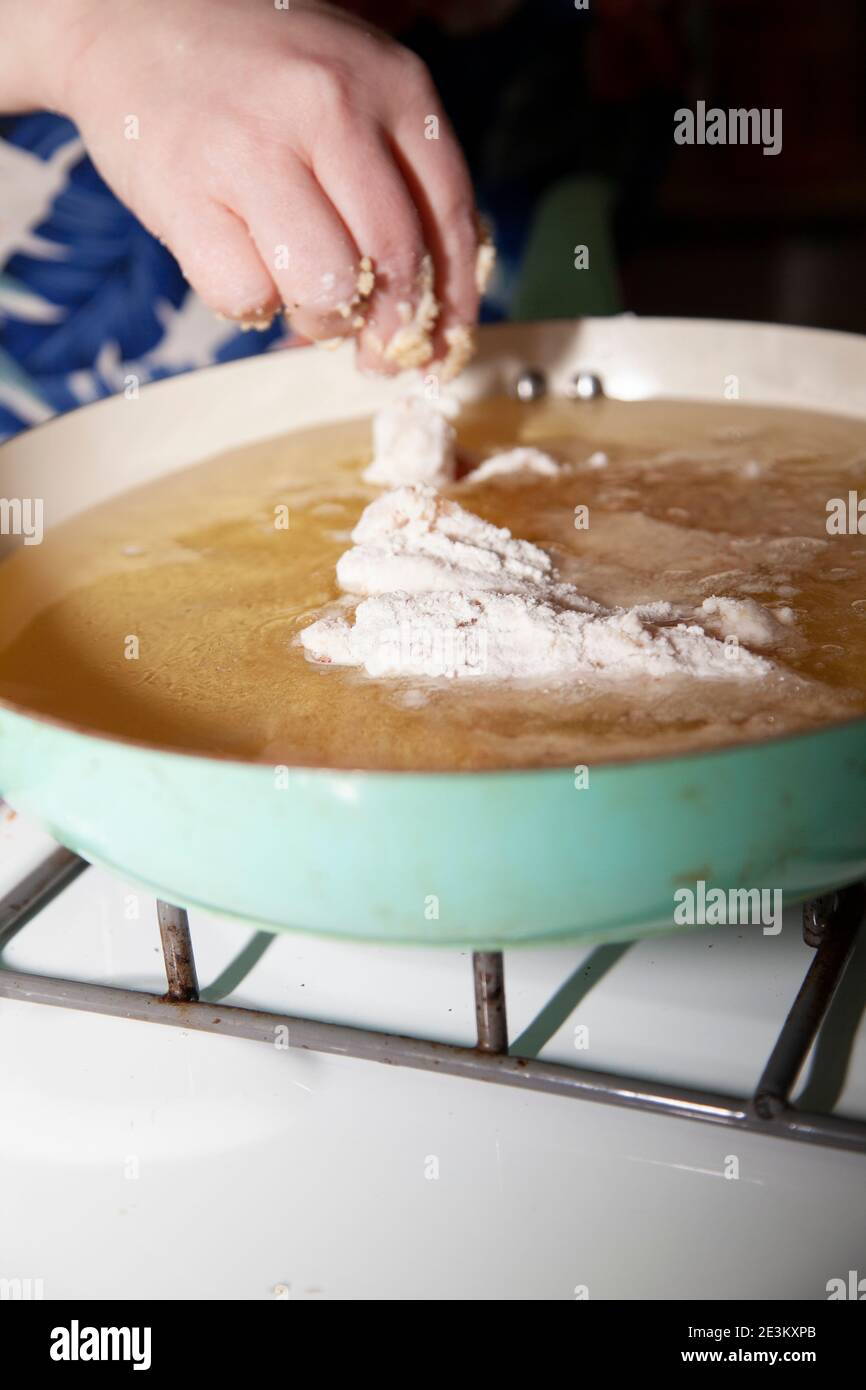 Woman dropping breaded chicken into a frying pan with hot grease Stock ...