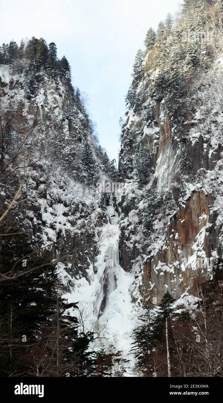 Ryusei hi-res stock photography and images - Alamy