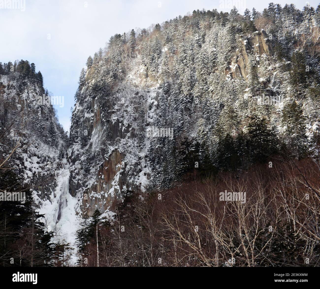 Ryusei hi-res stock photography and images - Alamy