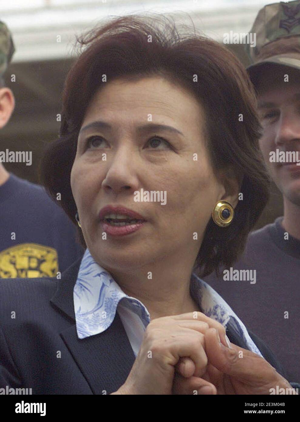 Tanaka tree hi-res stock photography and images - Alamy