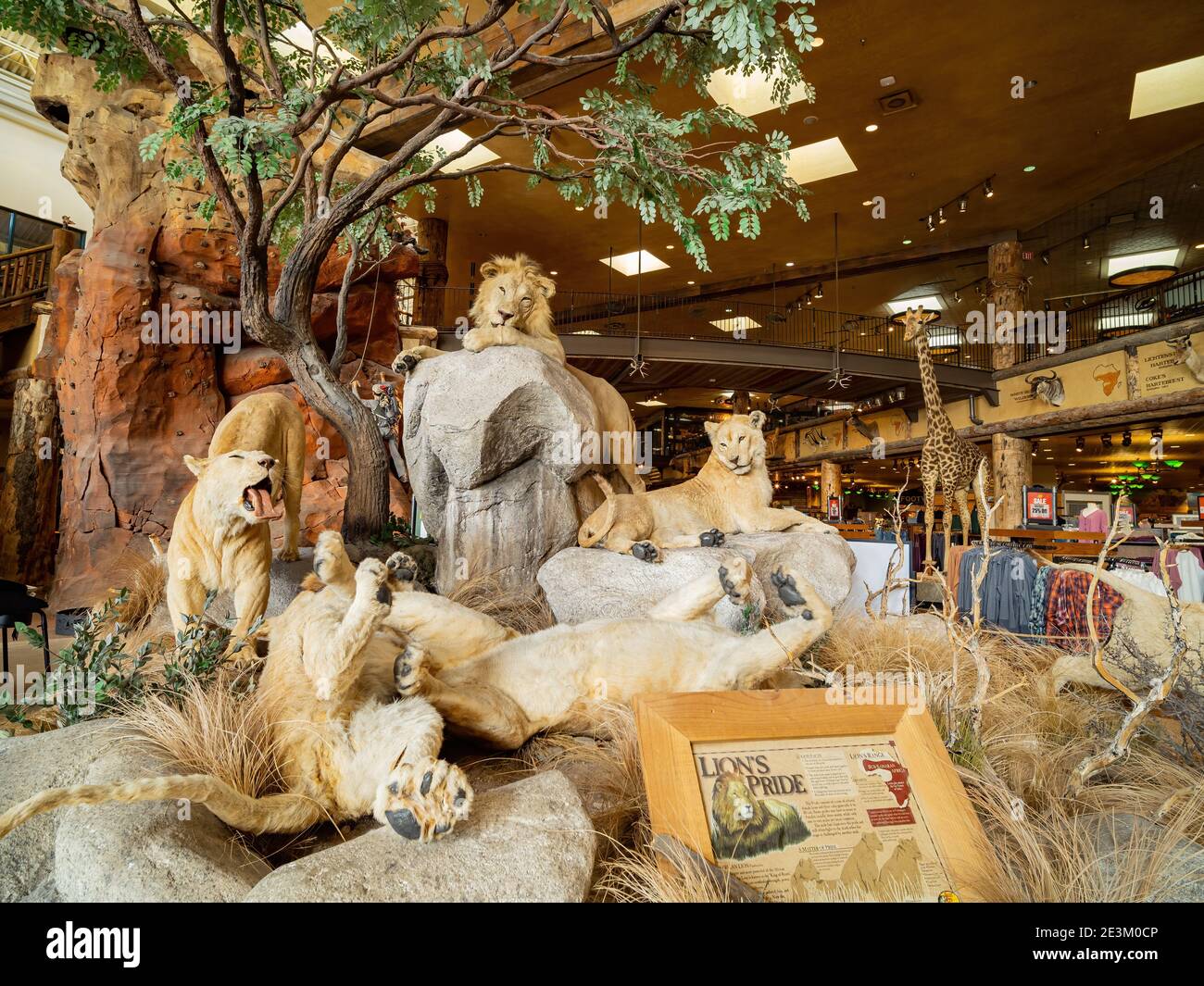 Bass pro shops interior hi-res stock photography and images - Alamy