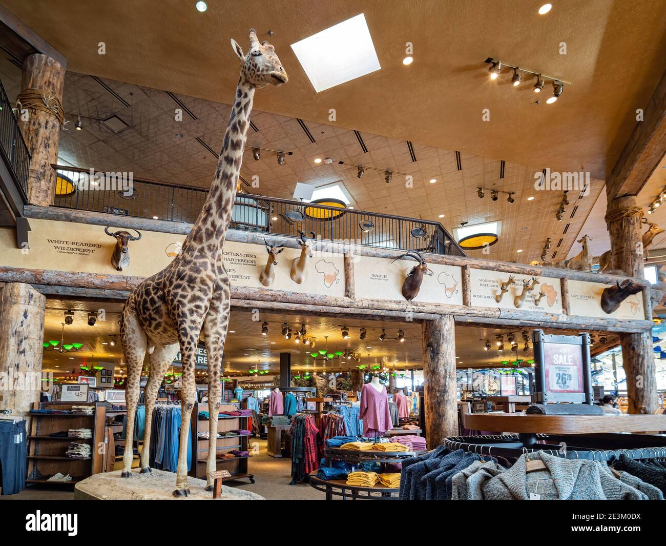 Las Vegas, JAN 8, 2021 - Interior view of the Bass Pro Shops Stock ...