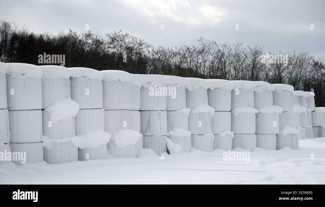 Covered haystacks in a farmland in Hokkaido, Japan Stock Photo - Alamy